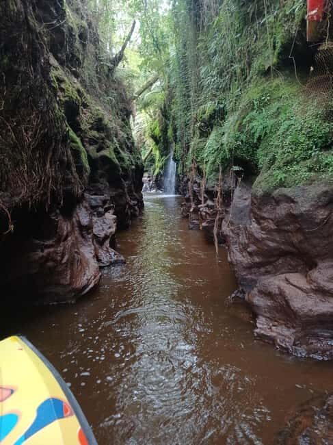 Hamilton Gardens - 30 min Ecological River Cruise - Exploring the Hamilton Gardens Ecological River Cruise