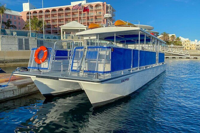 Hamilton Shopping & Sightseeing - Who Should Consider This Tour?