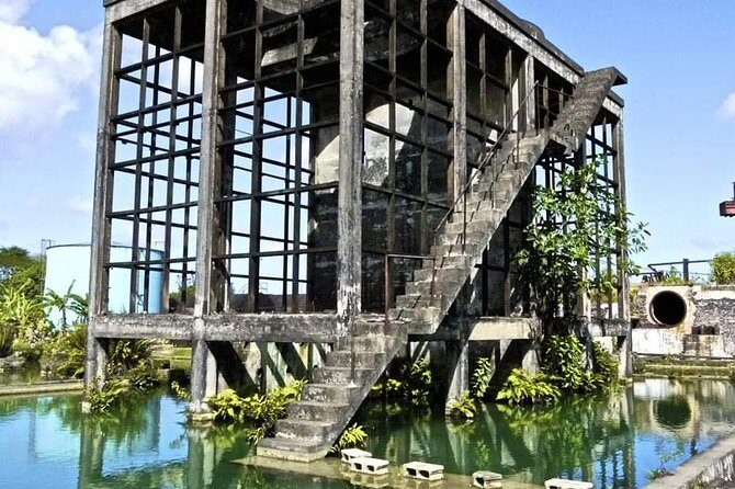 Hampden Estate Rum Tour and Lunch from Montego Bay - Practical Details: What to Expect and Tips for Travelers