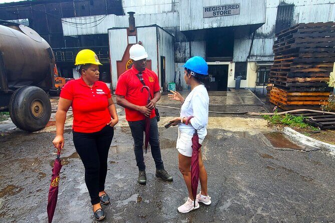 Hampden Estate Rum Tour and Lunch from Montego Bay - The Sum Up