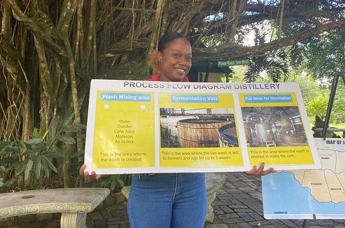 Hampden Rum Factory Tour With French Guide - Authenticity and Value: Who Should Consider This Tour?