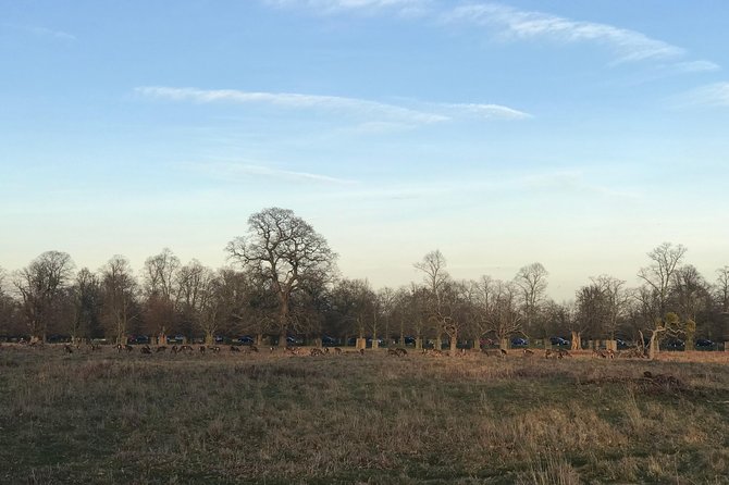 Hampton Court Palace Grounds Bike Tour - Exploring the Grounds