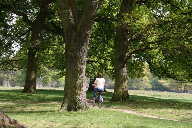 Hampton Court Palace Grounds Bike Tour - Cycling Through Bushy Park
