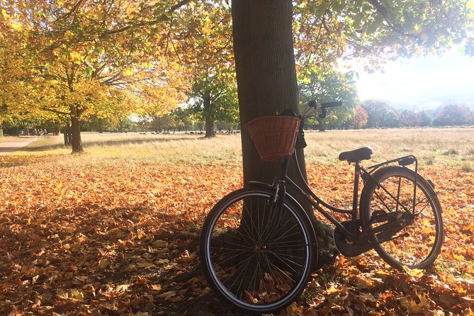 Hampton Court Palace Grounds Bike Tour - Discovering Historical Landmarks
