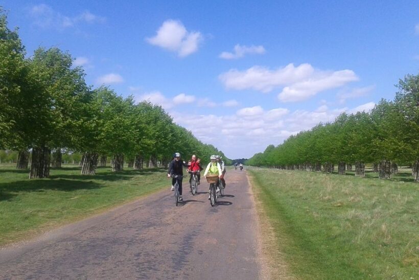 Hampton Court Palace: River Thames Bike Tour - An In-Depth Look at the Thames Cycling Experience