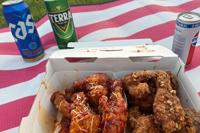 Han River sunset Chicken & Karaoke Private Tour - An Honest Look at the Experience