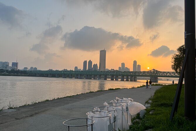 Han River sunset Chicken & Karaoke Private Tour - Who Will Love This Tour?