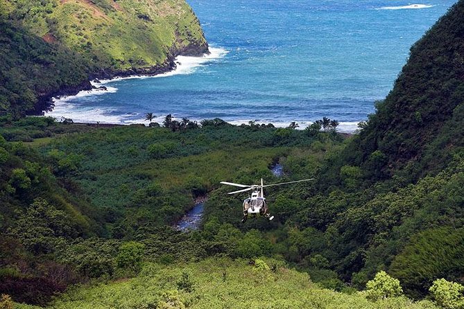 Hana Rainforest Helicopter Flight with Landing from Maui - Key Points