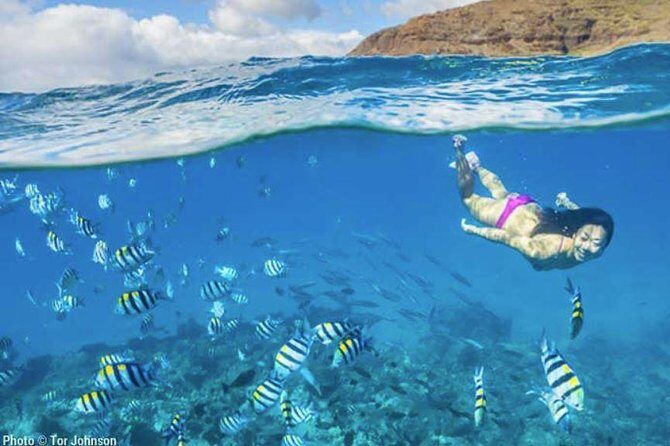 Hanalei River Paddle and Bay Snorkel Tours (LUNCH INCLUDED) - Who Will Love This Tour?