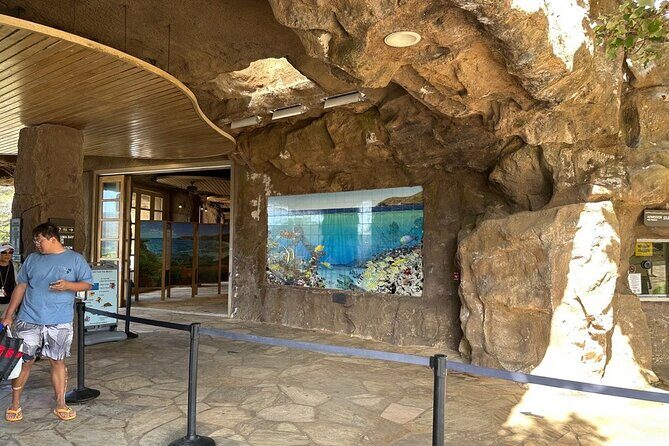 Hanauma Bay Snorkel Lesson - Authentic Traveler Feedback