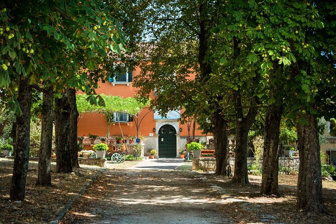 Hands on clay - be creative and make a pot - Price and Value Analysis