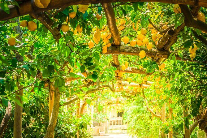 Hands-On Cooking Class & Farmhouse Tour on the Amalfi Coast - Who Will Love This Experience?