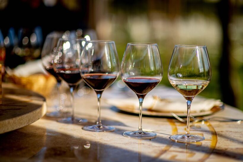 Hands-on Lasagna Making Cooking Class and Wine Tasting - Who Should Book This Experience?