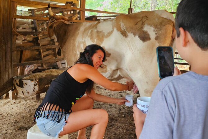 Hands-on Mexican Farm Experience: from Cow to Cheese - Who Will Enjoy This Experience?