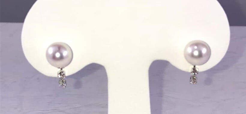 Hands-on Pearl Harvesting Workshop! - The Sum Up
