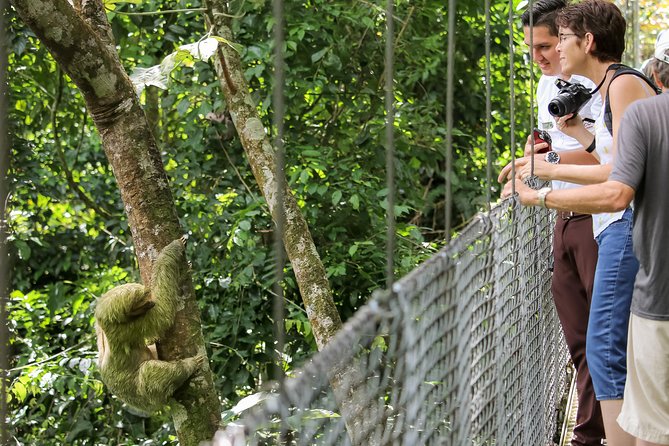 Hanging Bridges Walk in Arenal Volcano - Concerns From Visitors
