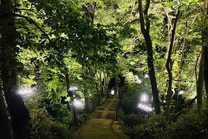 Hangzhou : Cool Morning/Night Baoshi Mountain Guided Tour - Introduction