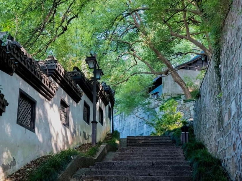 Hangzhou Insider Mini-Hike: TCM, Hill Views and Wet Market - Exploring Hangzhou Through Its Hidden Corners