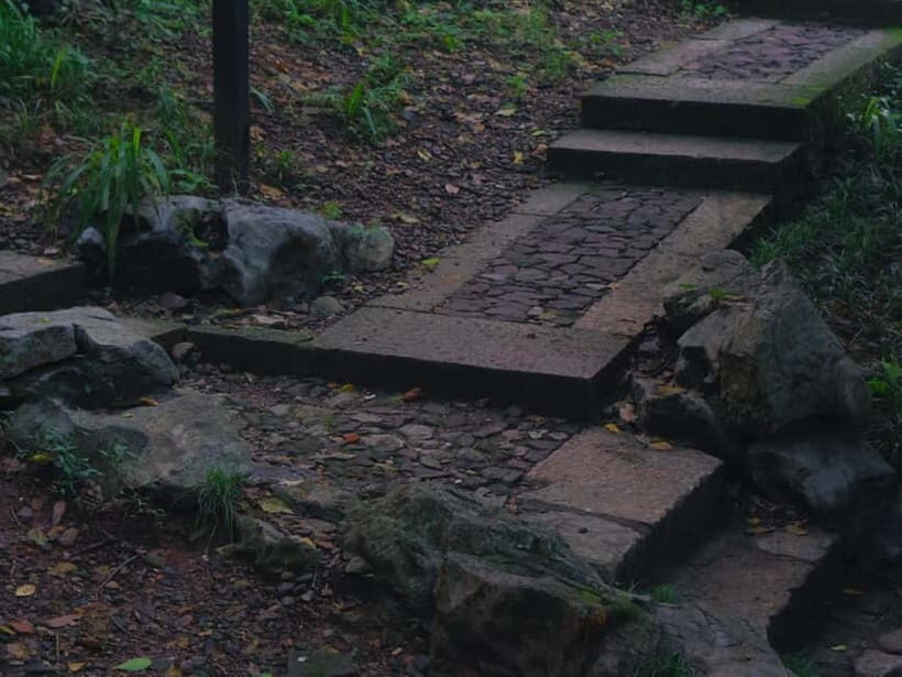 Hangzhou Insider Mini-Hike: TCM, Hill Views and Wet Market - Who Should Consider This Tour?