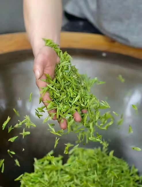 Hangzhou: Longjing Village Tea Picking and Tasting Tour - Key Points