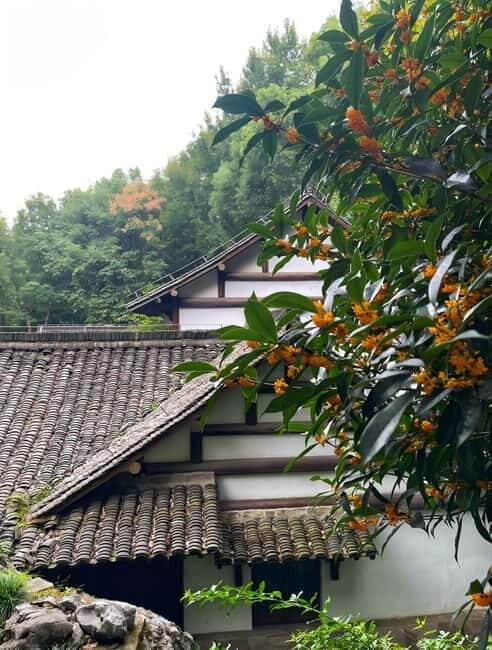 Hangzhou: Longjing Village Tea Picking and Tasting Tour - The Reality: Strengths and Limitations