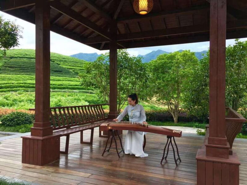 Hangzhou Private Day Trip by Bullet Train from Shanghai - Authenticity and Value