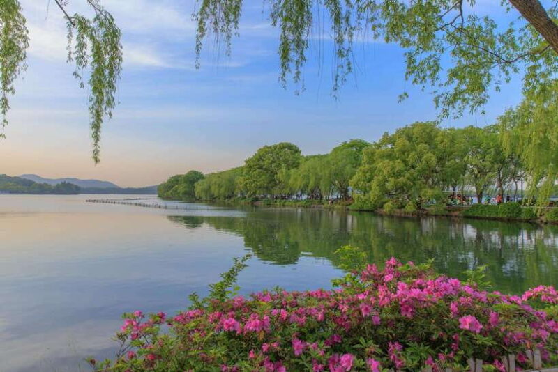 Hangzhou: West Lake and Tea Plantation Day Trip - Who Should Consider This Tour?