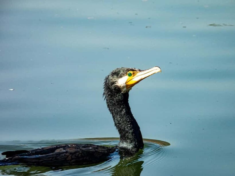 Hangzhou: West Lake Legends Walking Tour - Key Points