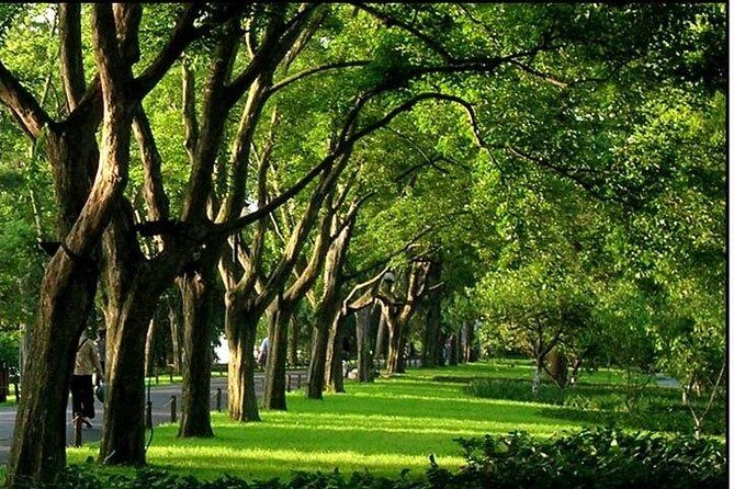 Hangzhou West Lake Walking Day Tour - What Travelers Can Expect from the Experience