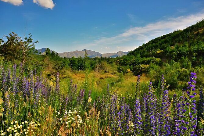 Hanmer Springs Pool Day Tour From Christchurch - FAQ about the Hanmer Springs Pool Day Tour from Christchurch