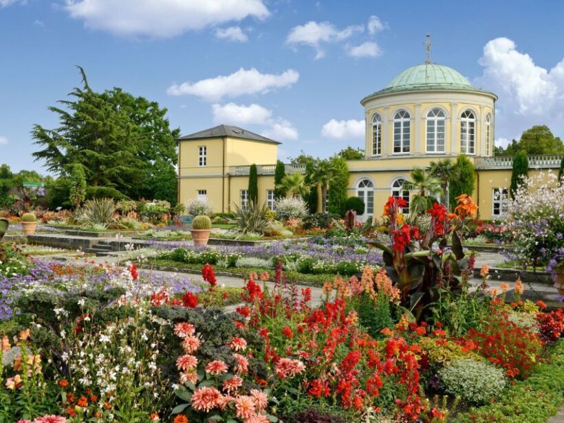 Hannover: Guided tour of the Berggarten - What is the Berggarten and why visit?