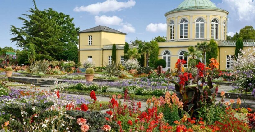 Hannover: Guided tour of the Berggarten - Who should consider this tour?