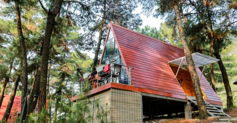 Hanoi: 2-Day Lan Ha Bay and Cat Ba National Park with Hiking - What This Tour Means for Your Travel Experience