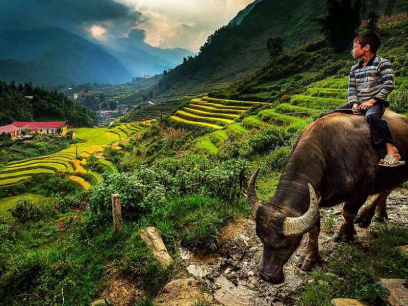 Hanoi: 2-Day Sapa and Fansipan Mountain Tour with Sleep Bus - Key Points