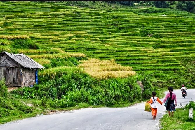 Hanoi- 2 Days Sapa moutain trekking with Local Guide and Homestay - Who Would Enjoy This Experience?