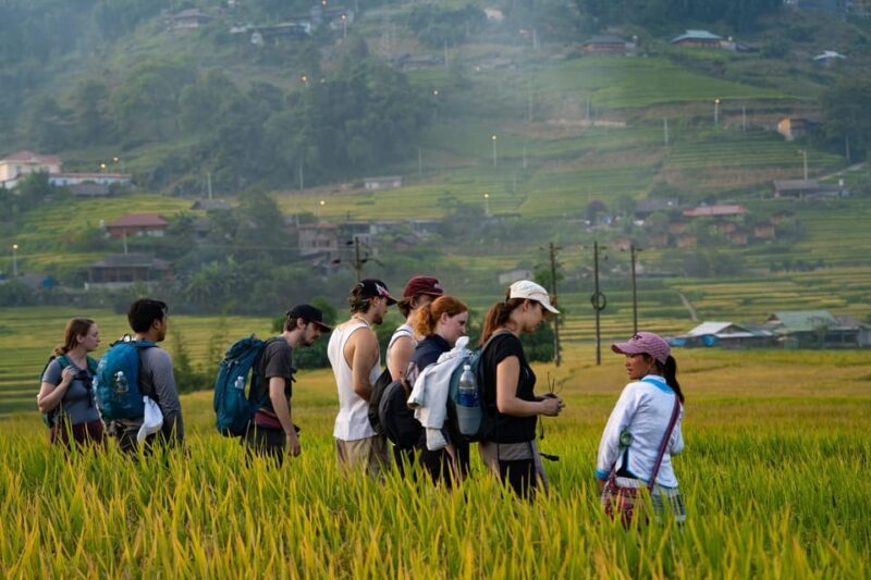 Hanoi: 2 Days Sapa Trekking Trip with Local Guide & Homestay - The Itinerary in Detail