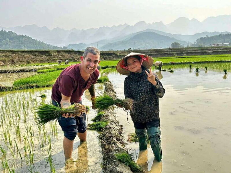 Hanoi: 3-Day Mu Cang Chai Trekking, Hidden Trail, Local Life - Practical Tips for Travelers