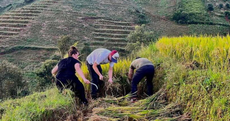 Hanoi: 3-Day Mu Cang Chai Trekking, Hidden Trail, Local Life - Final Thoughts