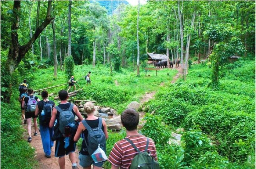 Hanoi: 3-Day Ninh Binh to Bai Tu Long Bay Tour and Cruise - Practical Tips for Travelers