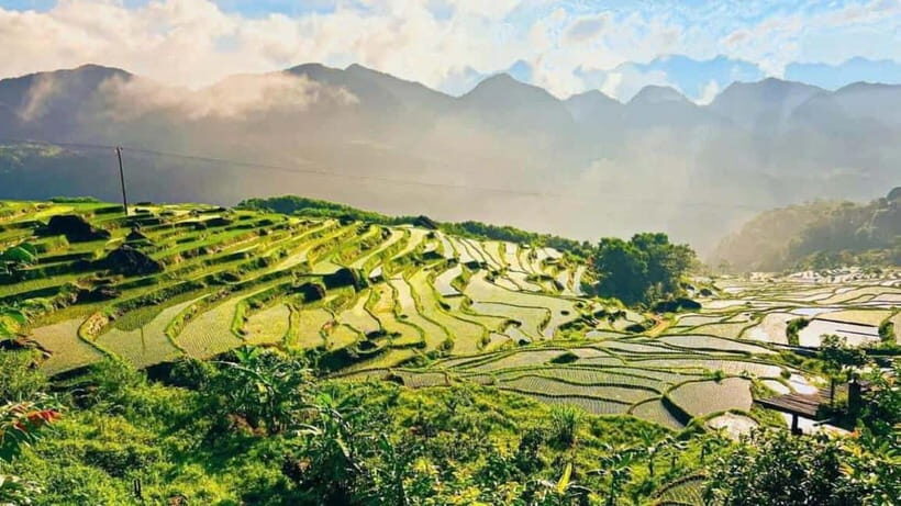 Hanoi: 3-Day Pu Luong, Ninh Binh Excursion & Guide, Homestay - An In-Depth Look at the Itinerary