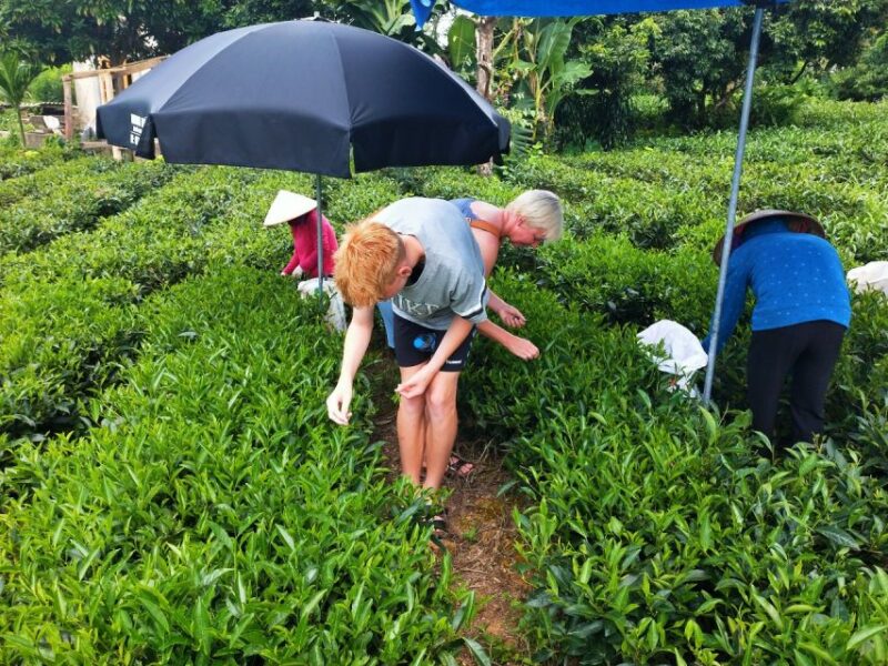 Hanoi: 3-Day Tour to Ban Gioc Waterfall and Ba Be Lake - How the Experience Feels and What It Means for You