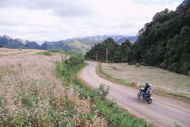 Hanoi: 4-Day Ha Giang Loop Motorbike Tour Group or Private - Key Points