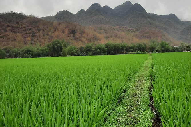 Hanoi Airport car transfer & Vice versa - The Sum Up