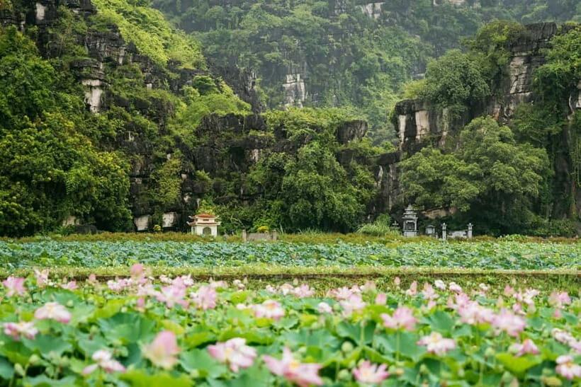 Hanoi: Bai Dinh Pagoda, Mua Cave, Trang An Tour BEST SELLER - Logistics and Practicalities: What You Need to Know