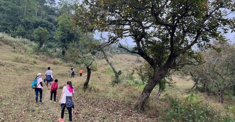 Hanoi: Ban Gioc Waterfall to Hidden Village Trekking Tour - Practical Details and Value