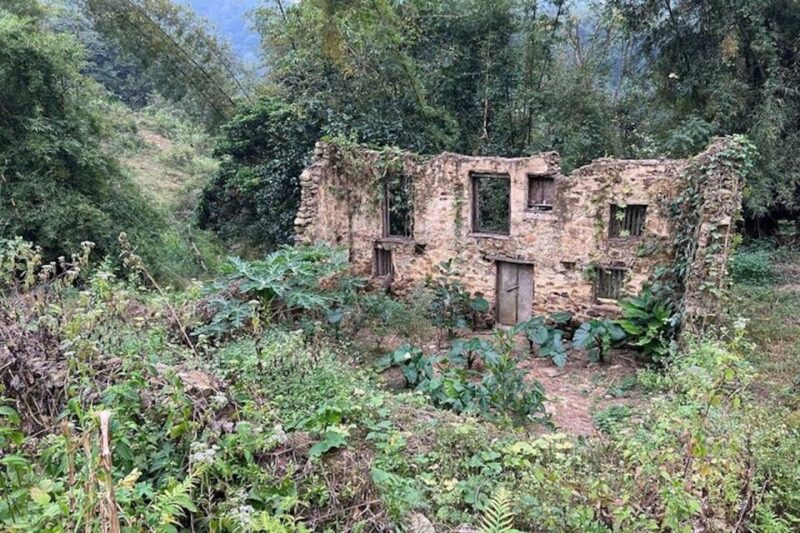 Hanoi: Ban Gioc Waterfall to Hidden Village Trekking Tour - Final Thoughts