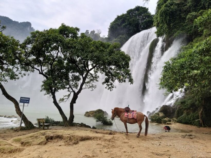 Hanoi: Ban Gioc Waterfalls 2-Day Full Meals, Guide, Transfer - Final Word