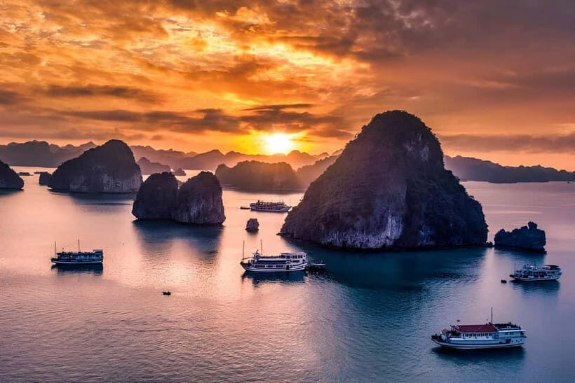 Hanoi: Best 5-Star Ha Long 1 Day Tour with pick up/drop off - Who Will Love This Tour?