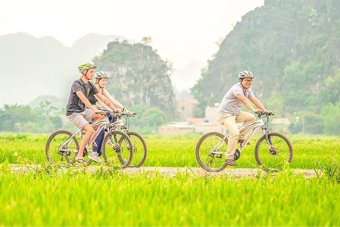 Hanoi Best Local Food, Vegan, Vegetarian Option Add Train Street - Introduction: What Makes This Tour Worth Considering