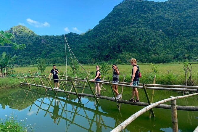Hanoi: Cat Ba Island- Lan Ha Bay Day Trip on Luxury Cruise, Lunch - Who Is This Tour Best For?